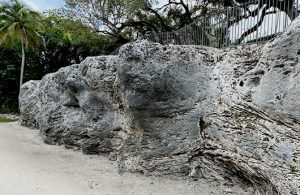 Our Story – Silver Bluff